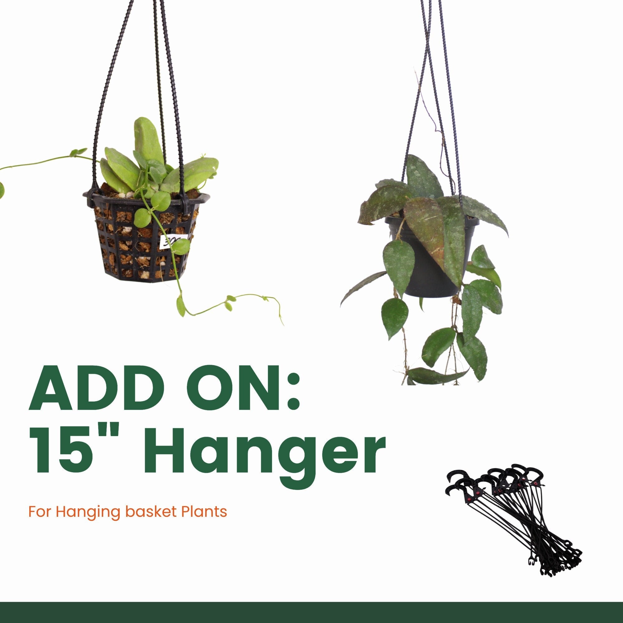 Plastic Plant Hanger – ThePlantVet